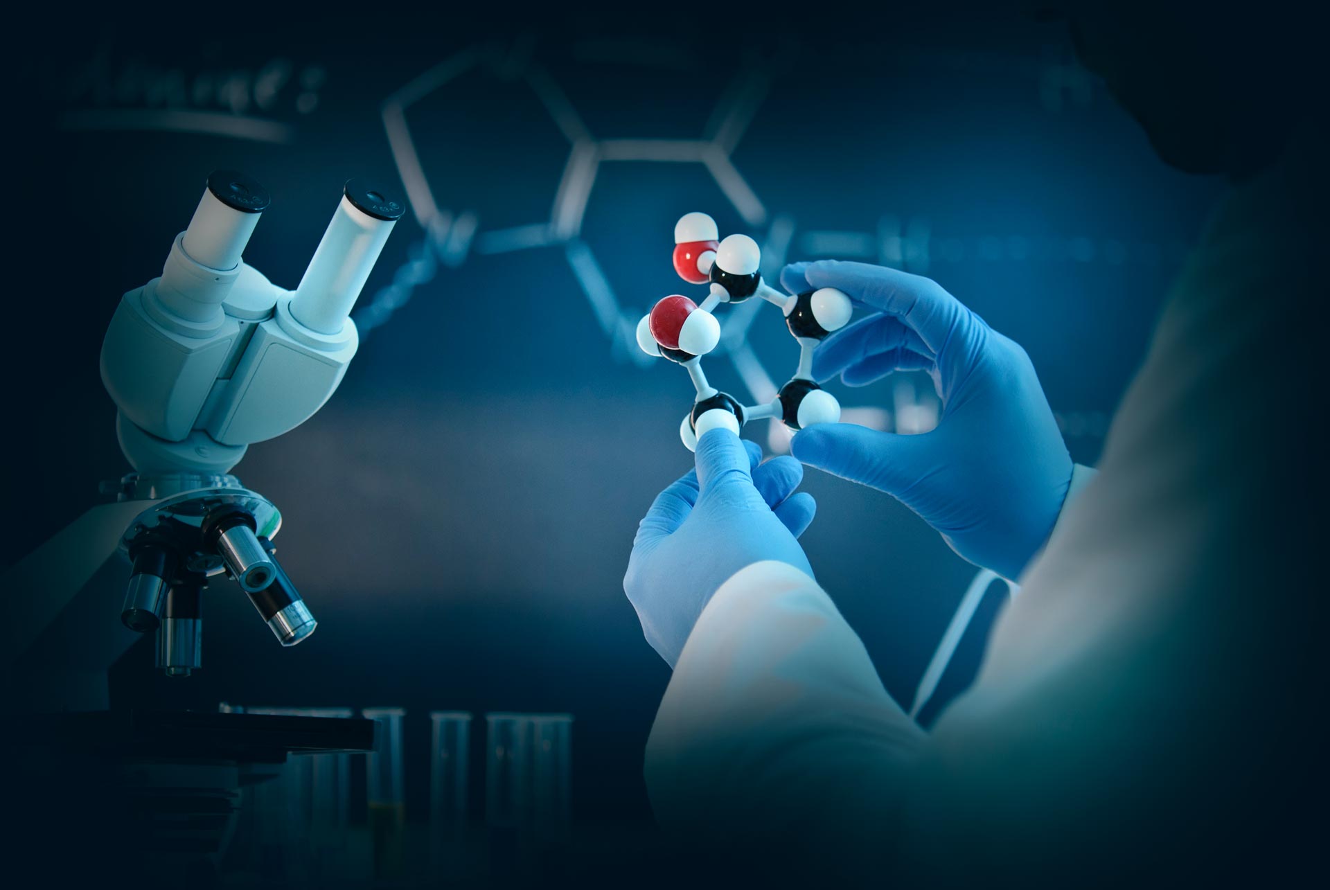 PIDERMA - bioPmed